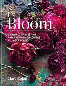 In Bloom: 9780857833051: Amazon.com: Books