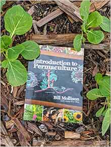 Introduction to Permaculture: Mollison, Bill: 9780908228089: Amazon.com ...
