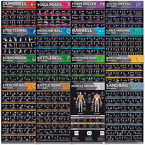 16-Pack Laminated Large Workout Poster Set - Perfect Workout Posters ...