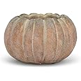 Amazon.com : Abbott Collection 27-PUMPKIN-220-LG Large Low Cement ...