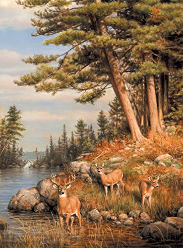 Jigsaw Puzzles Of Deer - Absolutely Stunning Wildlife Deer Puzzles