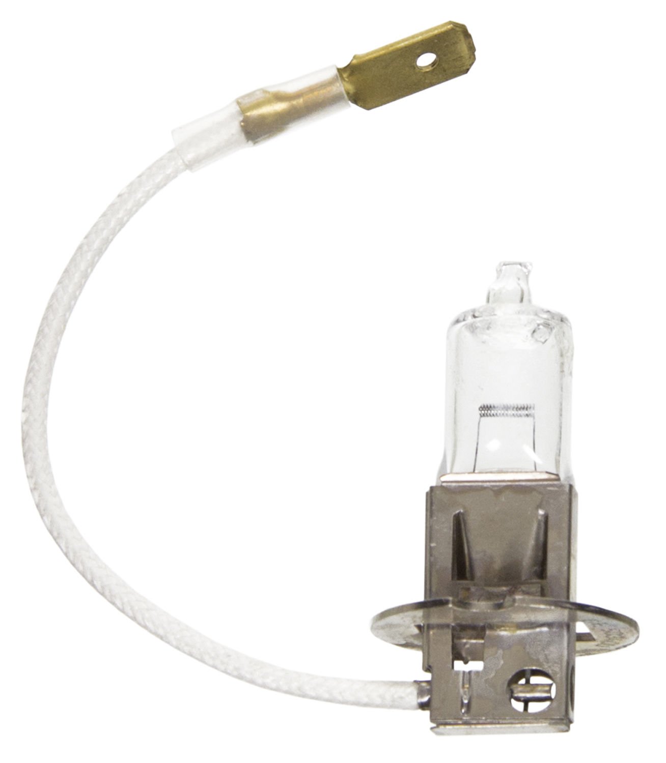 Genuine Toyota 90981-13048 Bulb: Amazon.in: Car & Motorbike