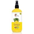 Amazon.com: Alikay Naturals - Lemongrass Leave-In Conditioner 16 oz ...