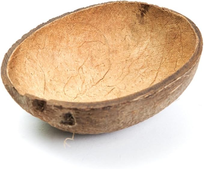 Natural Coconut Shell Cup, Cups - Amazon Canada