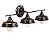 Westinghouse Lighting 6354800 Iron Hill Two Light Indoor Wall Fixture ...