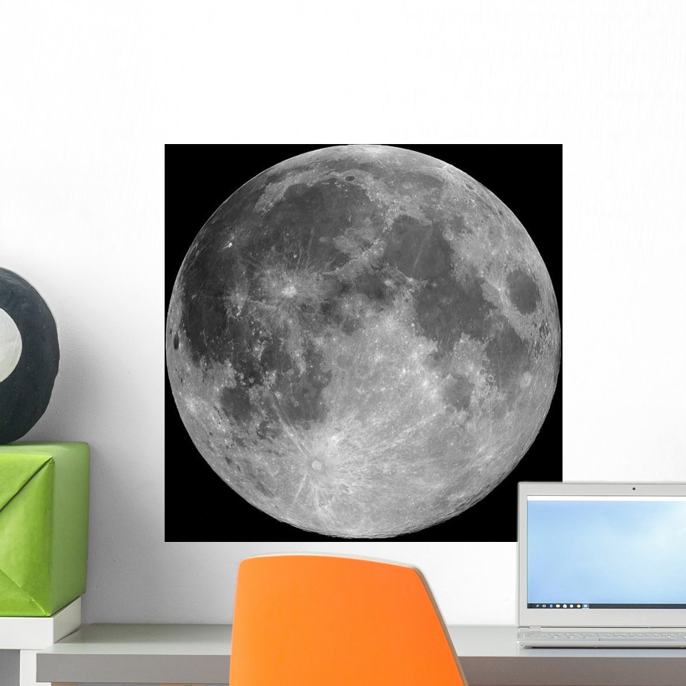 Amazon.com: Full Moon Wall Mural Wallmonkeys Peel and Stick Wall ...