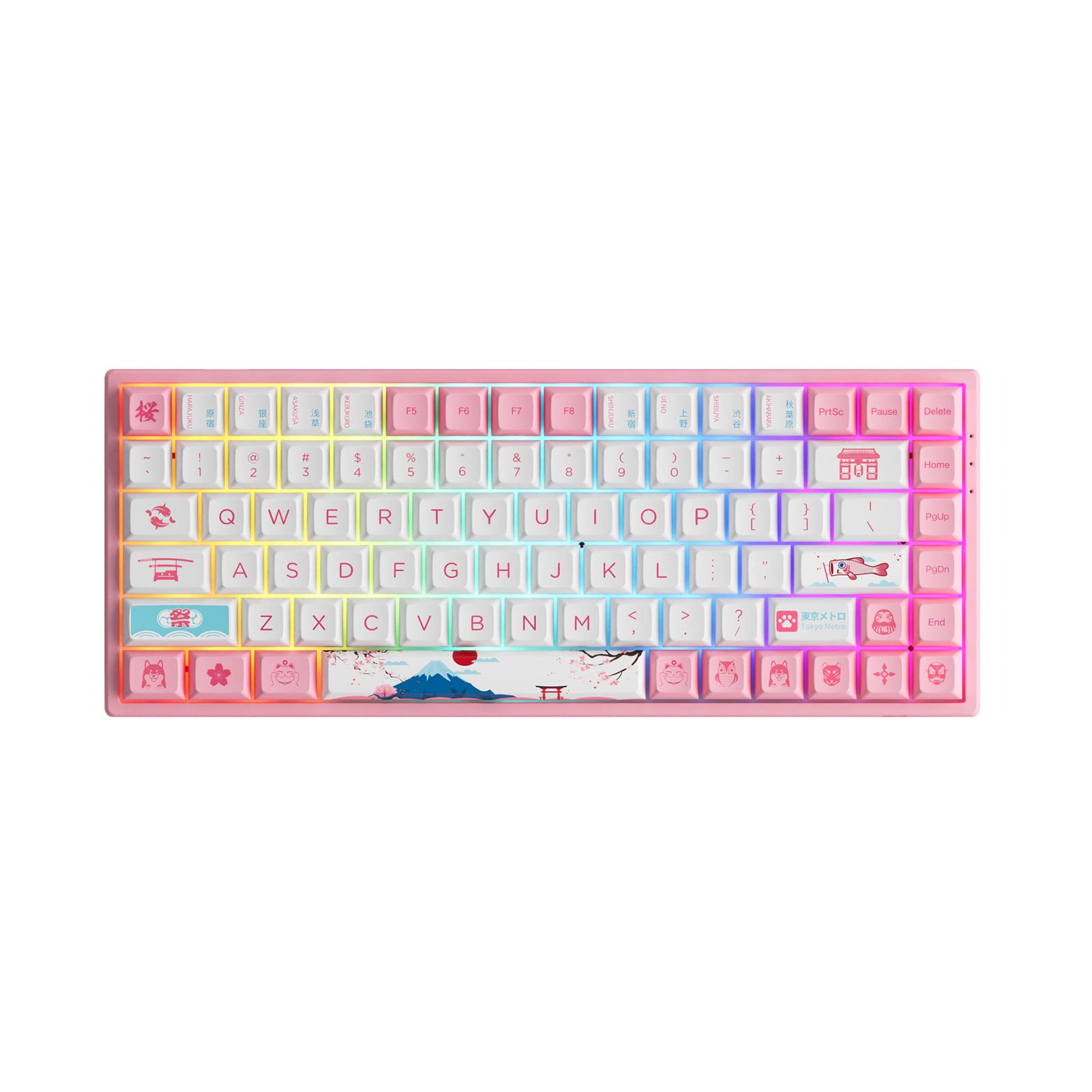 Mua Akko World Tour Tokyo 75% Hot-swappable Mechanical Gaming Keyboard ...