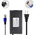 Amazon.com: Abakoo New 24V 8A Battery Charger with XLR Connector for ...