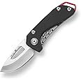 Amazon.com: Buck Knives 417 Budgie Folding Pocket Knife with Clip, Lanyard Hole, 2" S35VN ...