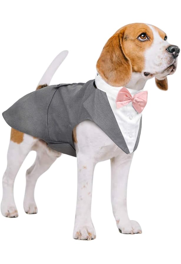 Molde De Smoking Para Perros | atelier-yuwa.ciao.jp