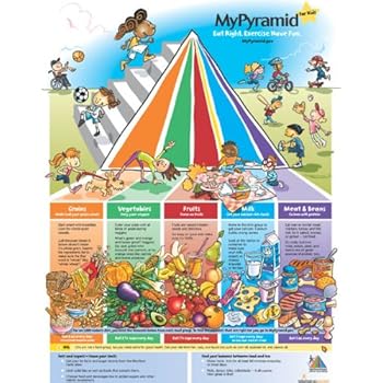 Amazon.com: My Food Pyramid Poster 18" x 24" Laminated, USDA MyPyramid ...