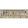 Amazon.com: History of American Baseball Poster - 11 3/4" By 36 ...