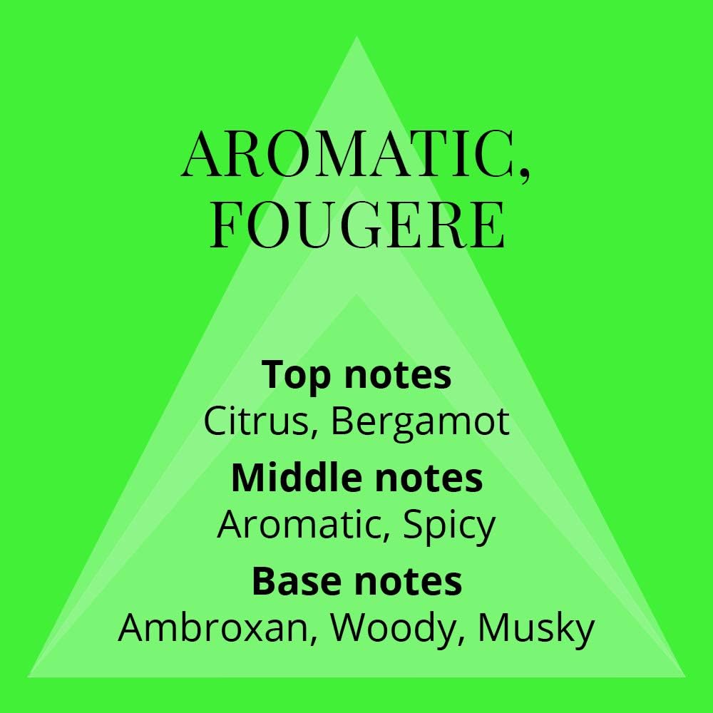 Colour Me Volt – Fragrance for Men – Eau de Parfum for Men – 90ml, by ...