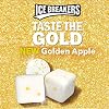 Ice Breakers Ice Cubes Chewing Gum, Sugar Free, Golden Apple Flavor, 6 ...