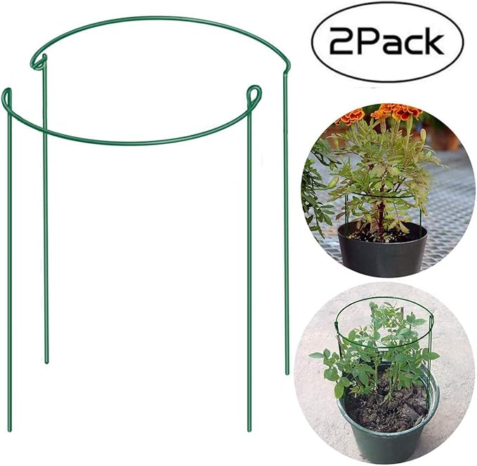 Half Round Plant Grow Support Metal Small Garden Pot Trellises Ring ...