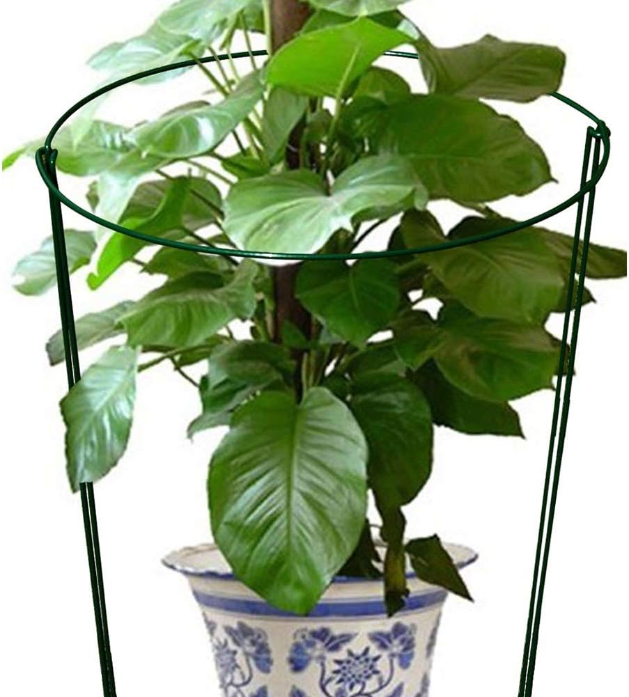 Takefuns 4 Pcs Half Round Garden Plant Support Ring Hoop Garden Support ...