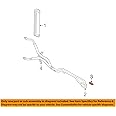 Amazon.com: General Motors 15203889, Engine Oil Cooler Gasket : Automotive