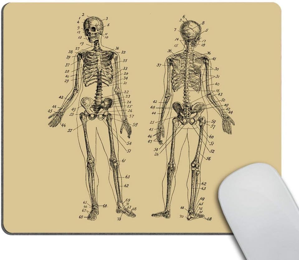 Wasach Human Skeleton Mouse Pad Rectangle – Human Anatomy Computer or ...