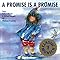 Amazon.com: A Promise is Promise (Munsch for Kids) (9781550370089 ...