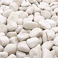 Amazon.com: Premium Pebbles White Rocks for Plants. White Decorative ...