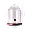 TMKEFFC Smoking Cloche For Food Drinks With Wood Base, Cocktails Smoke ...