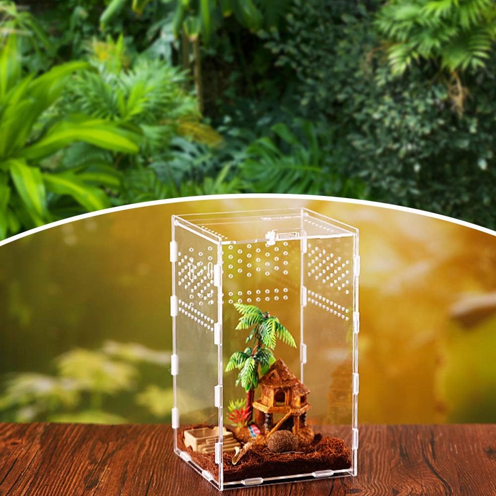 Bestine Insect Feeding Box, 12x12x20cm Acrylic Reptile Arboreal House ...