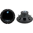 Amazon.com: Planet Audio AC12D 12-Inch 3600W Subwoofers (Pair ...