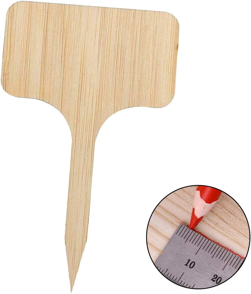 50 PCS Bamboo Plant Labels, Plant Markers & Labels Bamboo Nursery ...