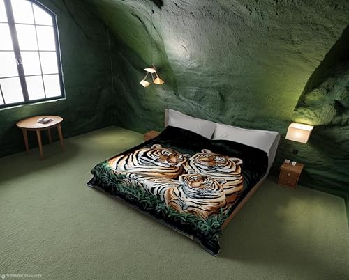 SOLARON Korean Super Thick Heavy Weight Mink Blanket (King, 3 Tigers ...