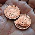 Amazon.com: ZFG Inc. Zero F's Given Giftable Novelty Quarter Coins ...