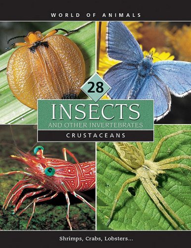 Insects and Other Invertebrates (World of Animals (Danbury, Conn.), V ...