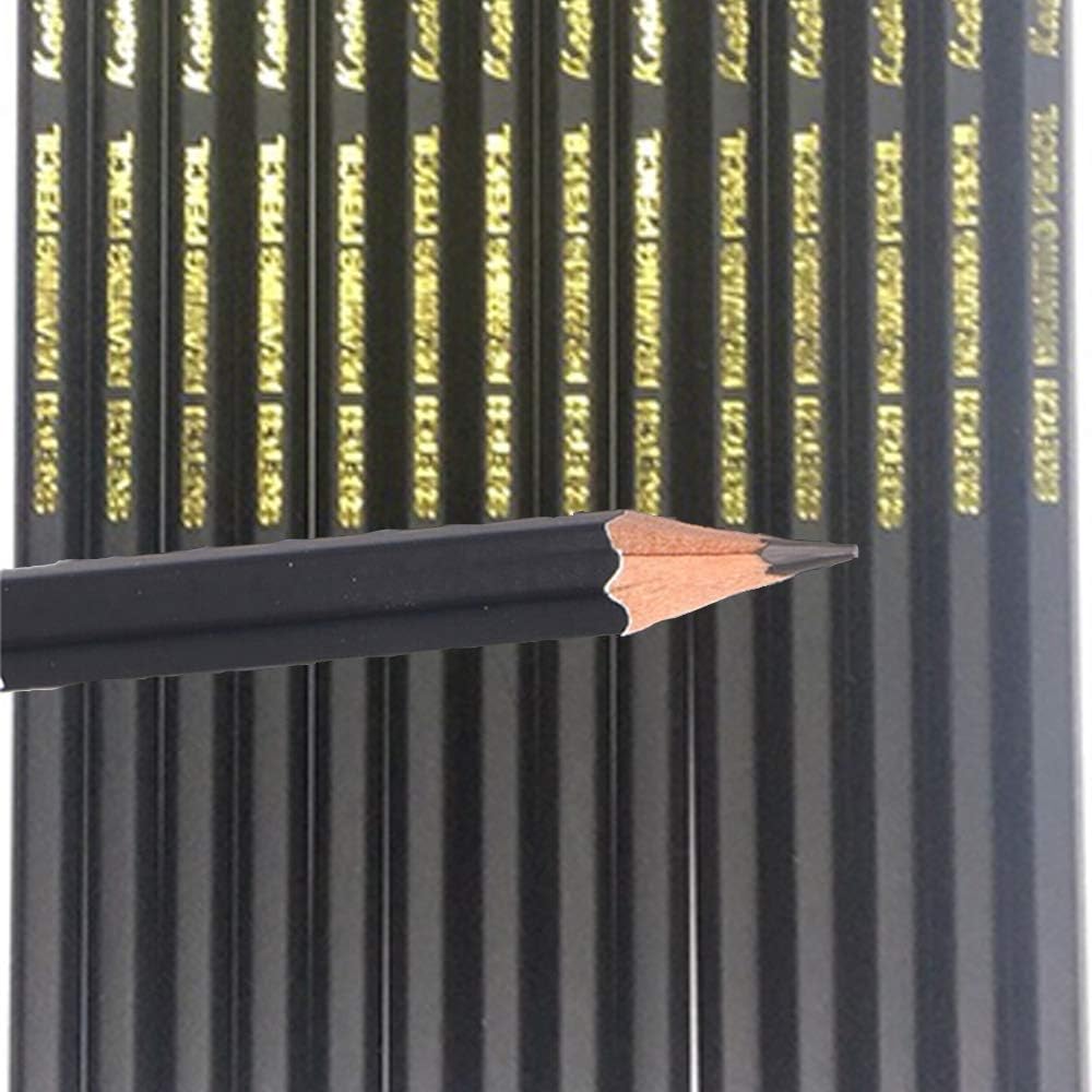 14 Graphite Sketching Pencils Set 12B 10B 8B 7B 6B 5B 4B 3B 2B B HB 2H ...