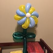 Amazon.com: Qualatex 260Q Traditional Assortment Biodegradable Latex ...