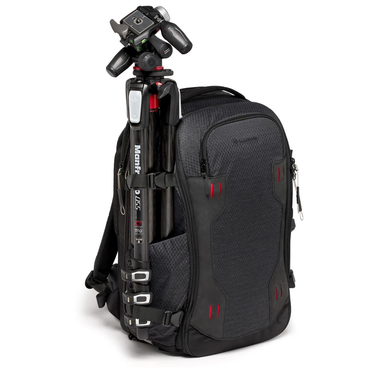 Mua PRO Light Flexloader L, Professional Backpack for Cameras ...