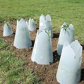 Amazon.com : Grow It Now! - Plant Protectors/Frost Guards with Closable ...