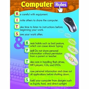 Amazon.com: Trend Enterprises Inc. Computer Rules Chart, 17x22 Inches ...