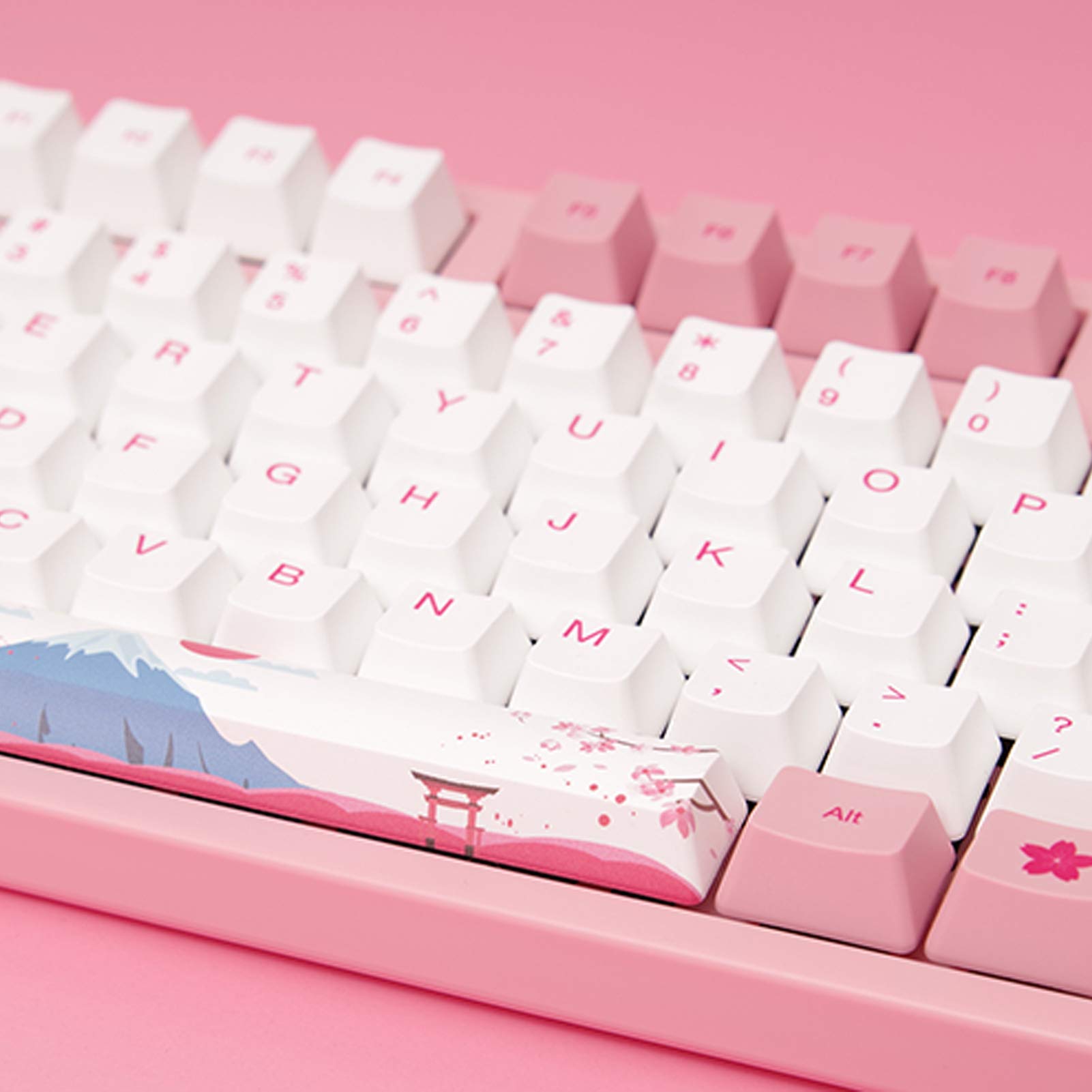 Mua Akko TKL Wired Gaming Mechanical Keyboard, Programmable with OEM ...