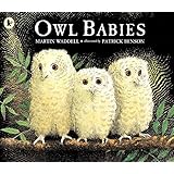 Owl Babies: Waddell, Martin, Benson, Patrick: 9780763617103: Amazon.com ...
