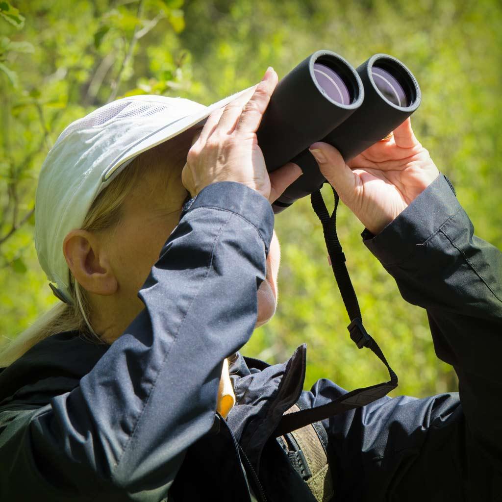 Nikon 7572 PROSTAFF 5 10X50 Binocular (Black) : NIKON: Amazon.ca ...