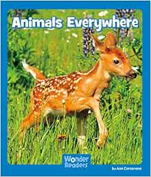 Animals Everywhere (Wonder Readers Emergent Level): Corcorane, Ann ...