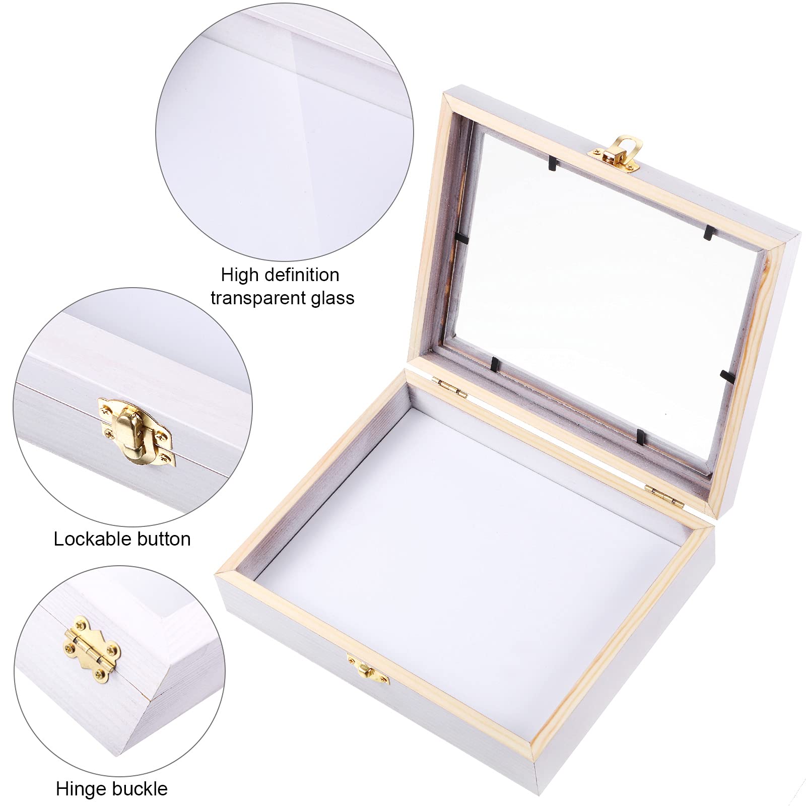 Insect Display Case Box Collection Box With Clear Top, EVA Foam Pinning ...