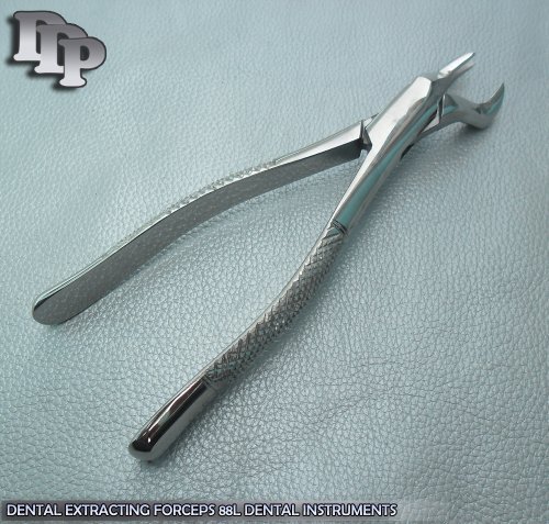 Amazon.com: Dental Extracting Forceps #88L Dental Instruments ...