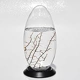 Amazon.com: EcoSphere Closed Aquatic Ecosystem, Small Pod, with ...