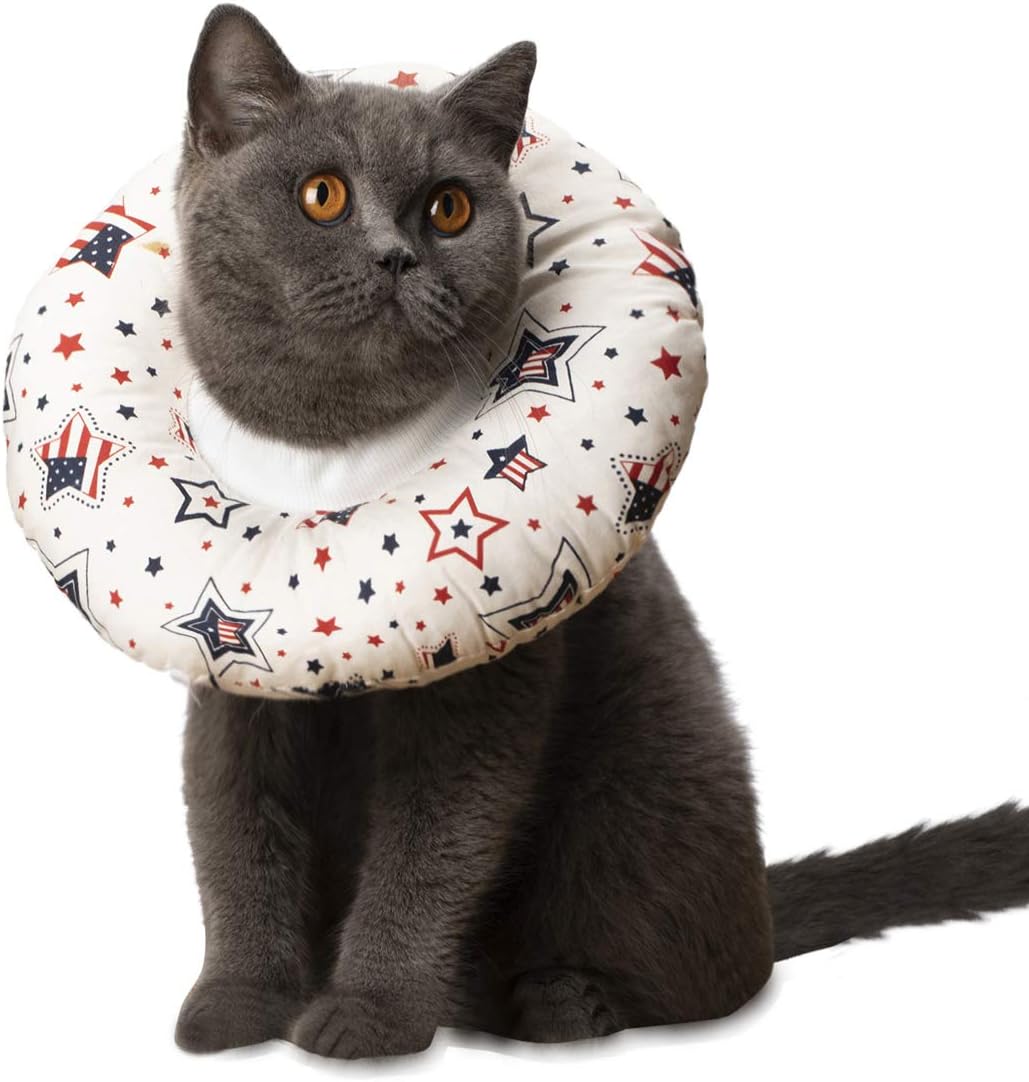 Amazon.com : KMNKSCN Adjustable Cat Recovery Collar Soft Cone for Cats ...