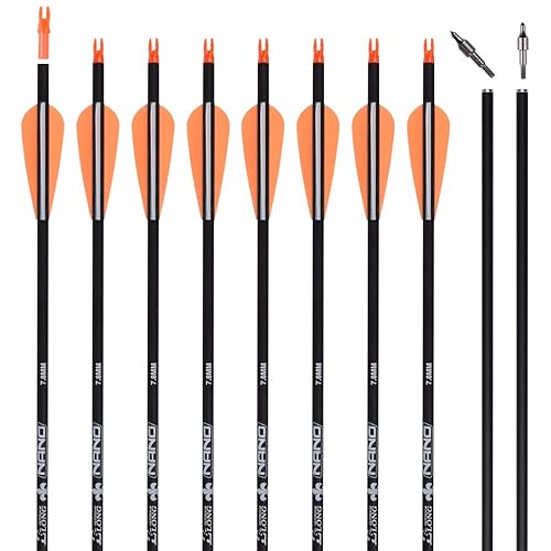 Carbon Arrow Practice Hunting Arrows with Removable Tips for Archery ...