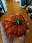 Amazon.com : Black Sea Man Heirloom Tomato Premium Seed Packet : Patio ...
