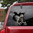 Amazon.com: Ocean Gift Velociraptor Dinosaur Car Decals, Wall Decals ...