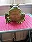 Amazon.com: Design Toscano QM20510 Ribbit The Frog Garden Toad Statue ...