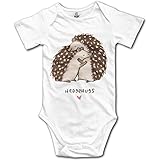 Hedgehugs: Steve Wilson, Lucy Tapper: 9781627794138: Amazon.com: Books