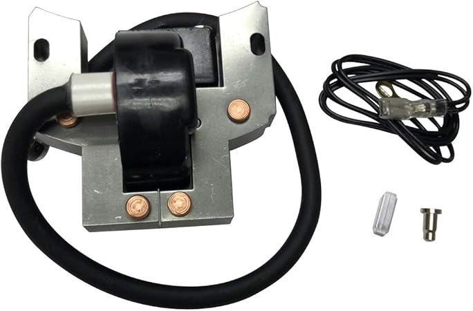 Amazon.com : ENGINERUN 398593 Ignition Coil Module Magneto for Briggs ...